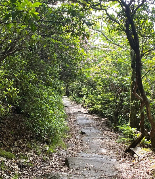vermont trail clifftop views ftr