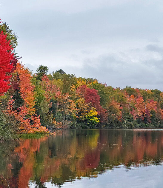 vermont unknown state park ftr