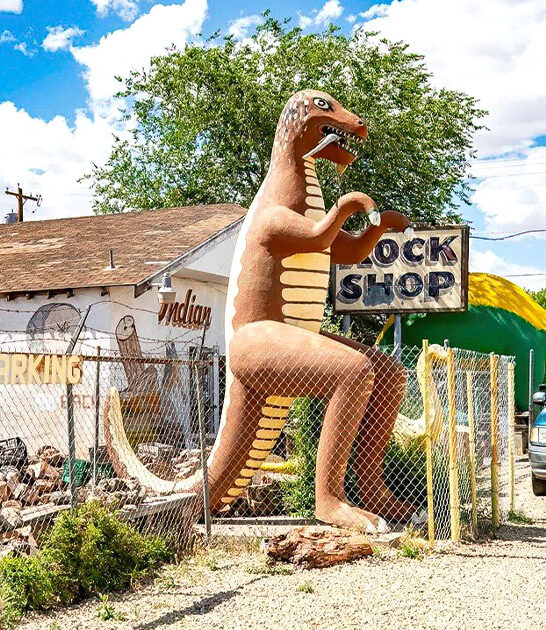 weird rock shop arizona ftr