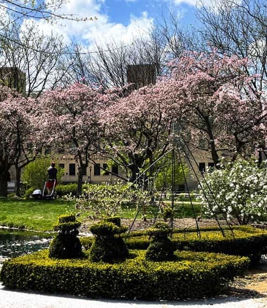 whimsical topiary garden ohio ftr