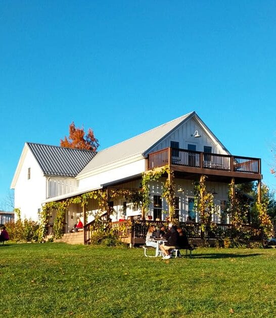 wine slushies ohio ftr