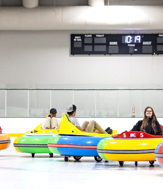 winter bumper car minnesota ftr