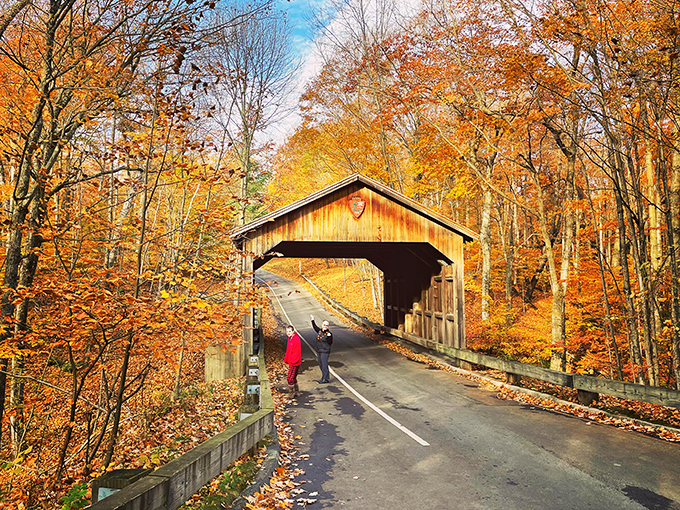 Nature's own kaleidoscope! Fall foliage turns this scenic drive into a golden highway, where every curve reveals a new masterpiece.