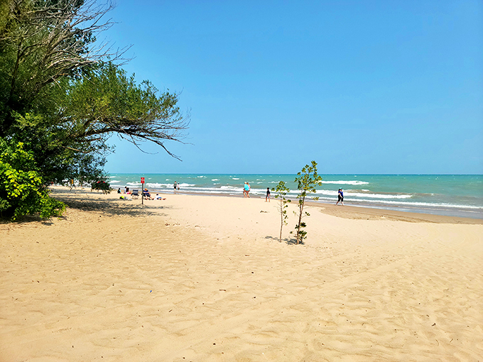 Sun, sand, and serenity: Gillson Beach invites you to leave your worries at the parking lot and embrace your inner beach bum.
