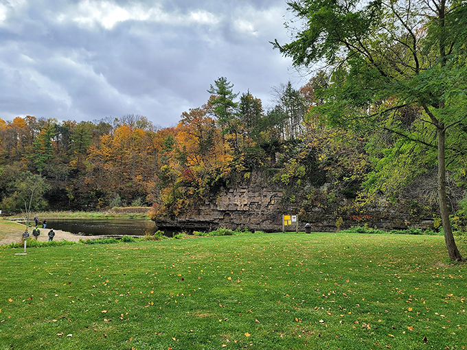 "Nature's welcome mat!" This winding path through sun-dappled trees invites you to leave your worries behind and embrace the great outdoors.