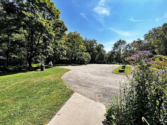 "Nature's welcome mat!" This winding path through sun-dappled trees invites you to leave your worries behind and embrace the great outdoors.