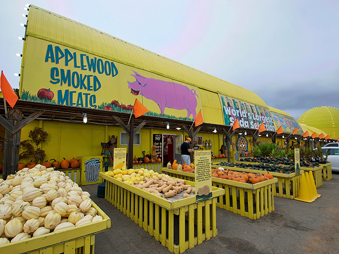 Welcome to the Wonka-esque wonderland of the Midwest! This yellow behemoth is like a beacon of joy in the Minnesota countryside.
