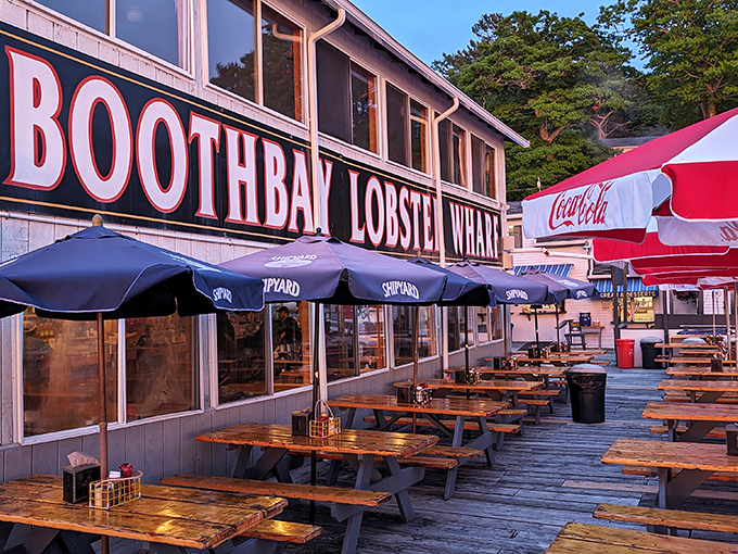 Boothbay Lobster Wharf's sign promises seafood dreams come true, with a side of coastal charm.