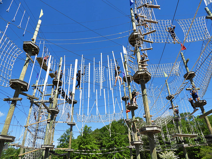 Gravity-defying acrobatics or human pinball? At Take Flight, the line blurs as adventurers navigate this aerial playground with equal parts grace and giggles.