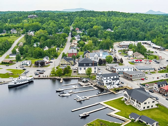 Greenville: Where nature's paintbrush went wild! This aerial view showcases a charming lakeside town nestled in a sea of green, with boats dotting the shoreline like confetti.