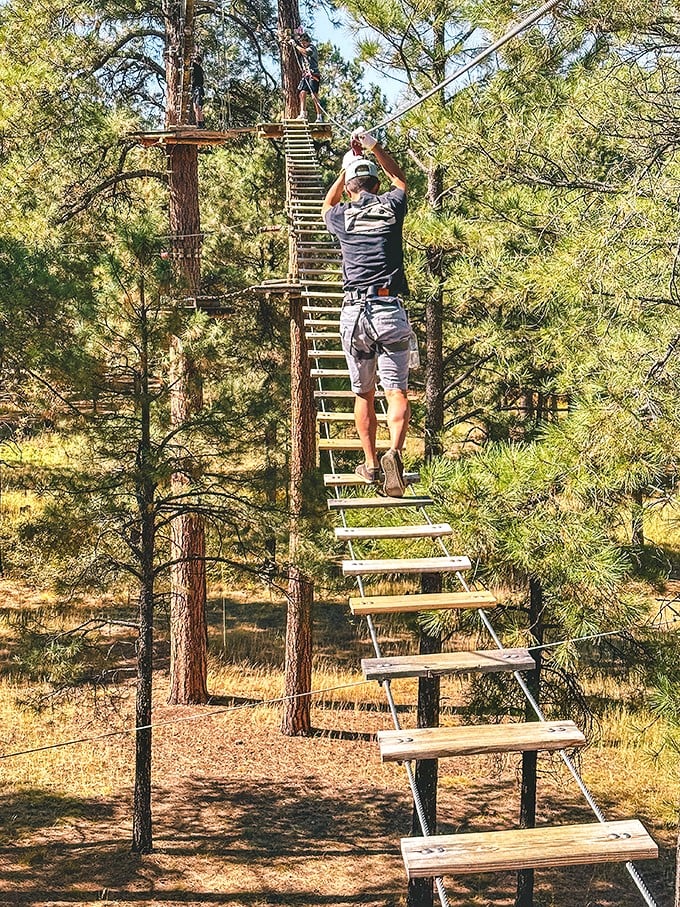 Stairway to Heaven: Arizona Edition - Where pine trees meet adrenaline at Flagstaff Extreme Adventure Course.