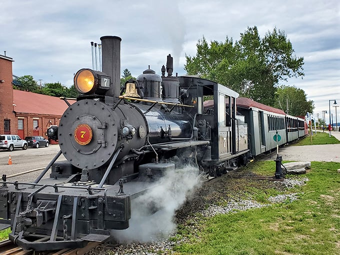 All aboard the time machine! This steamy beauty isn't just blowing smoke - it's ready to transport you back to Maine's golden age of rail.