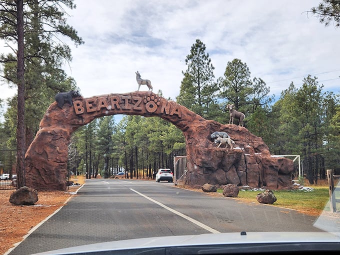 Welcome to the wild side! Bearizona's grand entrance arch sets the stage for an adventure where nature takes center stage.