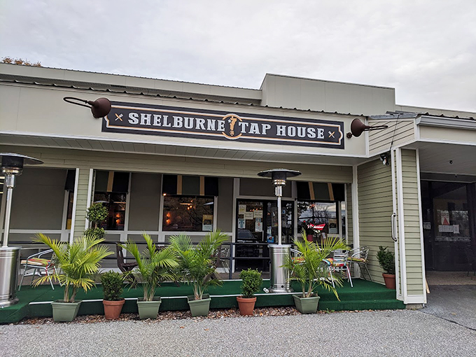 A welcoming green oasis in Shelburne, where palm plants and patio seating invite you to relax and stay awhile.