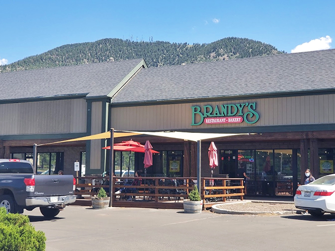 Welcome to Brandy's, where the mountains meet mouthwatering meals! This cozy spot nestles against Flagstaff's pine-covered hills, promising a feast for both eyes and taste buds.