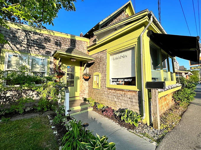 A charming yellow-trimmed cottage in Bar Harbor beckons with the promise of culinary adventure. Like a tropical flower blooming in New England!