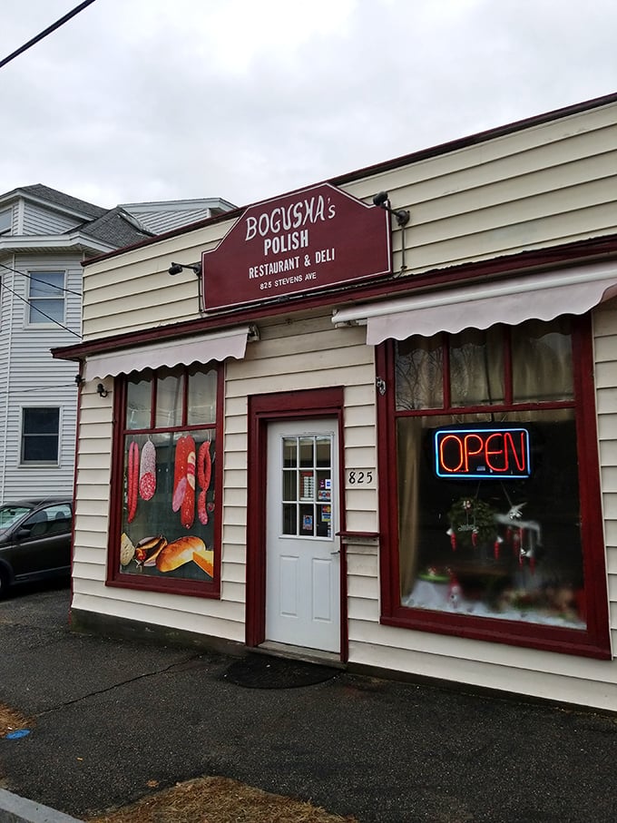 A slice of Poland on Stevens Avenue! Bogusha's charming exterior promises a culinary adventure that'll transport you faster than any pierogies-powered time machine.