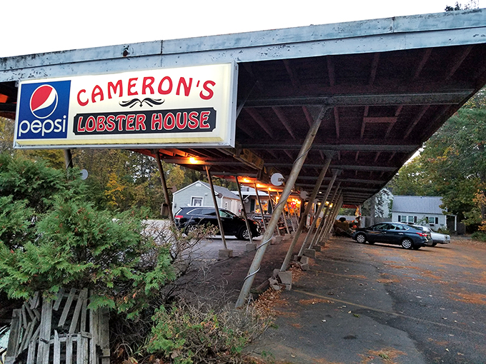 Welcome to seafood paradise! Cameron's Lobster House stands proud, its weathered charm beckoning hungry travelers like a lighthouse for lobster lovers. This isn't just a restaurant; it's a portal to buttery, briny bliss.