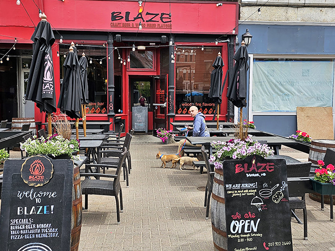 Blaze's vibrant red exterior and flower-filled patio welcomes you like a warm hug on a chilly Maine evening. String lights add that perfect touch of magic.
