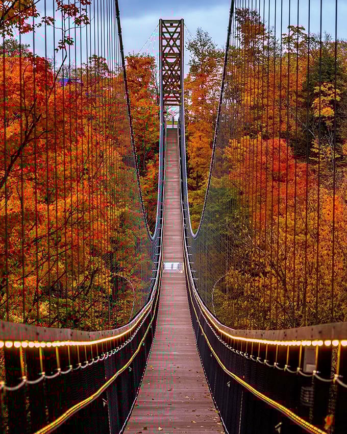 A bridge to autumn's heart! SkyBridge Michigan stretches across a sea of fiery foliage, inviting adventurers to walk on air and into a painter's dream.
