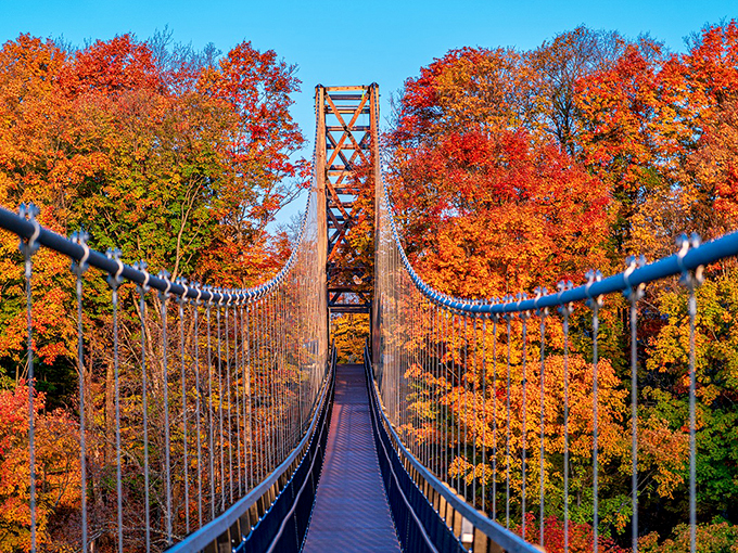 A bridge to autumn's heart! SkyBridge Michigan stretches across a sea of fiery foliage, inviting adventurers to walk on air and into a painter's dream.