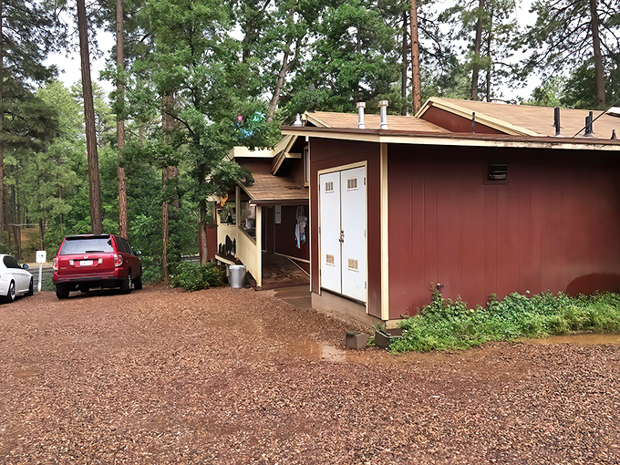 Rustic charm meets culinary delight! This cozy cabin in the pines isn't a secret hideout &ndash; it's Darbi's Cafe, where breakfast dreams come true.
