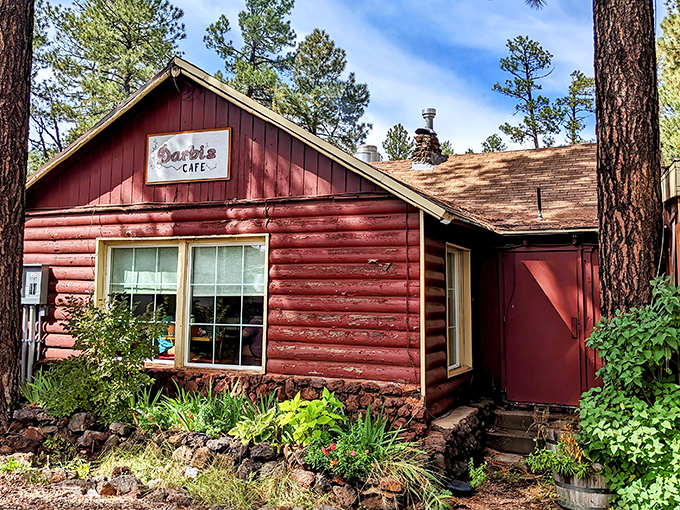 Rustic charm meets culinary delight: Darbi's Cafe nestled among towering pines, inviting visitors to experience homestyle cooking in a cozy log cabin setting.