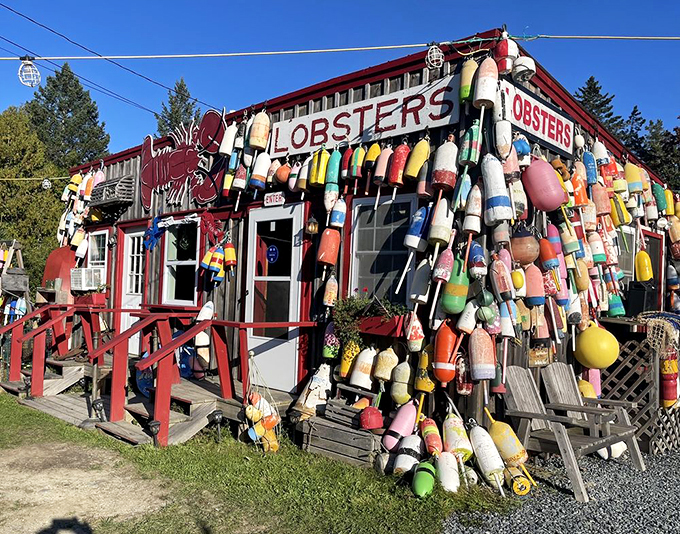 A seafood shack that looks like it raided Neptune's garage sale - colorful buoys create a whimsical welcome that's pure Maine magic. Photo credit: John G.
