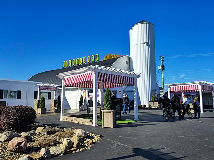 Welcome to cheese paradise! Grandpa's Cheesebarn stands tall, its silo reaching for the sky like a dairy-loving Jack's beanstalk. Red and white awnings beckon hungry travelers.