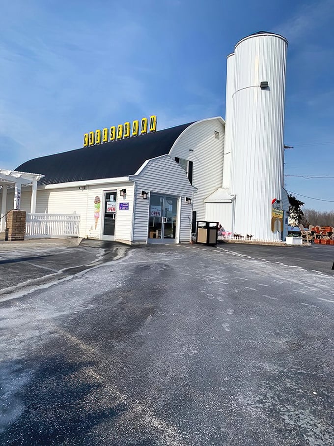 Welcome to cheese paradise! Grandpa's Cheesebarn stands tall, its silo reaching for the sky like a dairy-loving Jack's beanstalk.