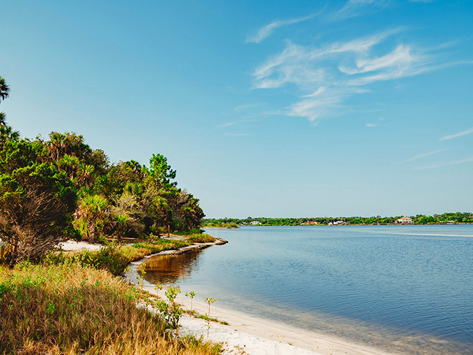 Nature's canvas unfolds: where the Tomoka and Halifax Rivers embrace, creating a symphony of blues and greens that'll make your heart sing.