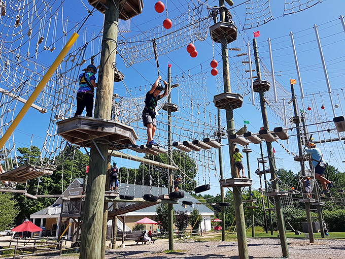 Adventurers navigate the aerial maze like nimble squirrels, proving that walking on wooden planks high above ground is perfectly normal vacation behavior. Photo credit: Toby McLaughlin