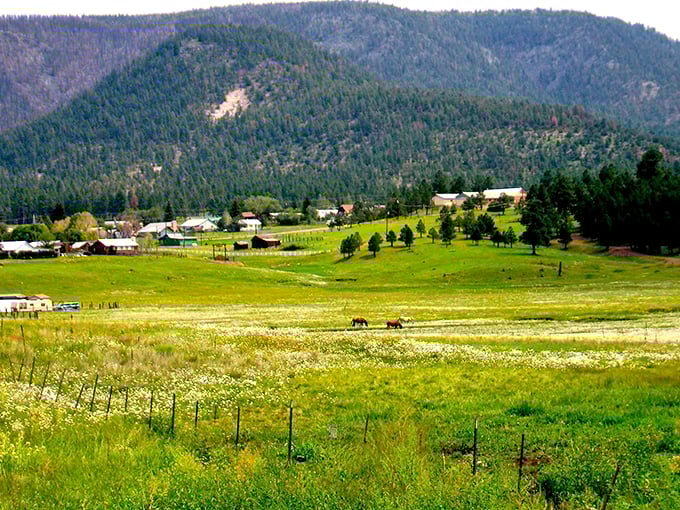 A postcard-perfect panorama: Alpine's rolling meadows and pine-clad mountains paint a scene so idyllic, you'll swear you've stumbled into a Bob Ross masterpiece.