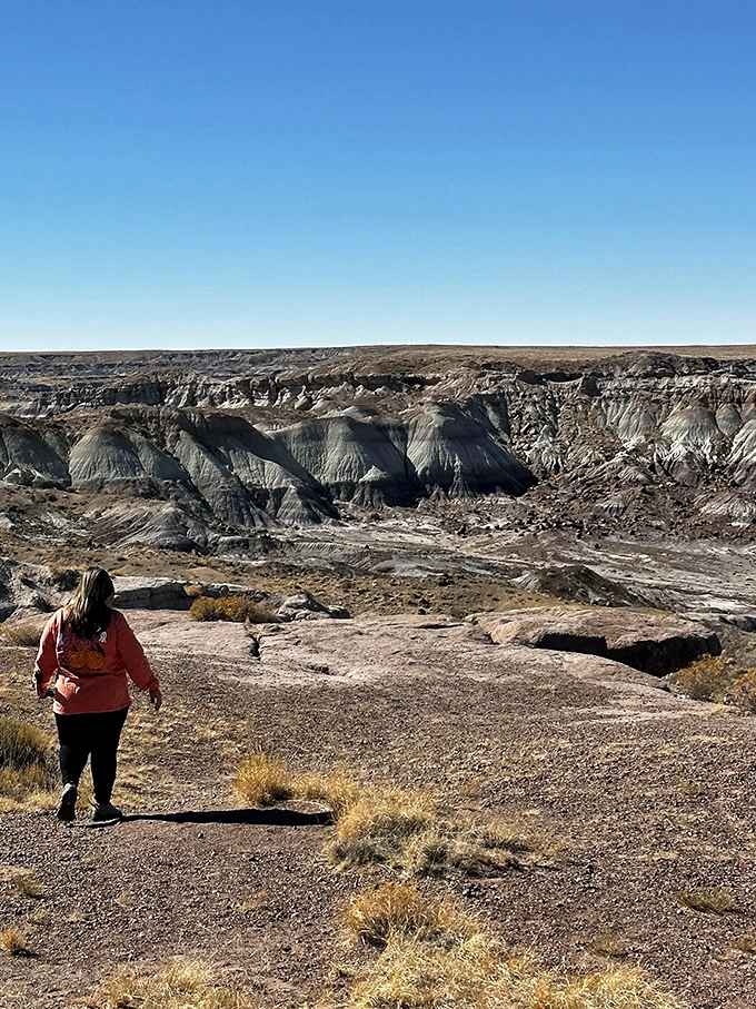 Welcome to the land that time forgot! This otherworldly vista makes you wonder if you've accidentally stumbled onto the set of a sci-fi blockbuster.