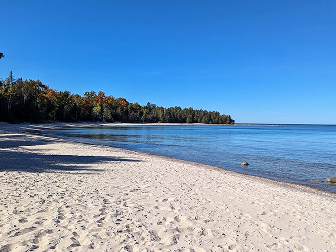 Who needs a desktop wallpaper when you've got this? Lake Michigan's crystal-clear waters meet a pristine sandy beach, creating nature's own screensaver.