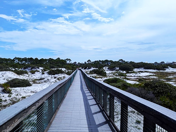 A bridge to paradise! This boardwalk isn't just a path; it's an invitation to leave your worries behind and embrace the Florida you've been dreaming of.