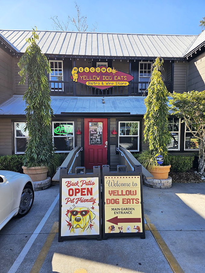 Welcome to flavor town! Yellow Dog Eats isn't just a restaurant; it's a tail-wagging adventure for your taste buds.