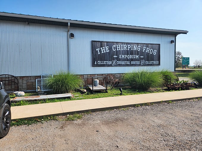 Welcome to the Chirping Frog, where nostalgia meets whimsy! This unassuming exterior houses a treasure trove of memories waiting to be rediscovered.