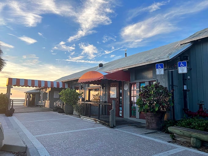 Surf's up, and so is dinner! This weathered wonder looks like it's been telling tales of the sea since before I was born.
