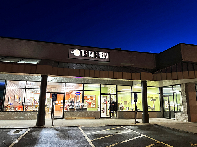 "Meow's the time for coffee!" The Cafe Meow's inviting storefront beckons cat lovers and caffeine addicts alike, promising a purr-fect blend of feline fun and caffeinated bliss.