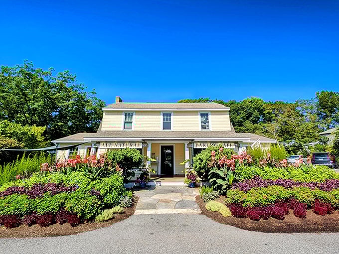 A charming yellow farmhouse transformed into a bakery paradise. Beach Pea Baking Co. welcomes you with a floral embrace that's pure Maine magic.