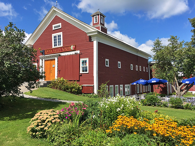 A barn-raising good time! Boyden Valley Winery's classic red exterior is like a siren song for wine lovers and maple bourbon enthusiasts. The vibrant flower gardens add a splash of color that rivals the most exuberant wine tasting notes.