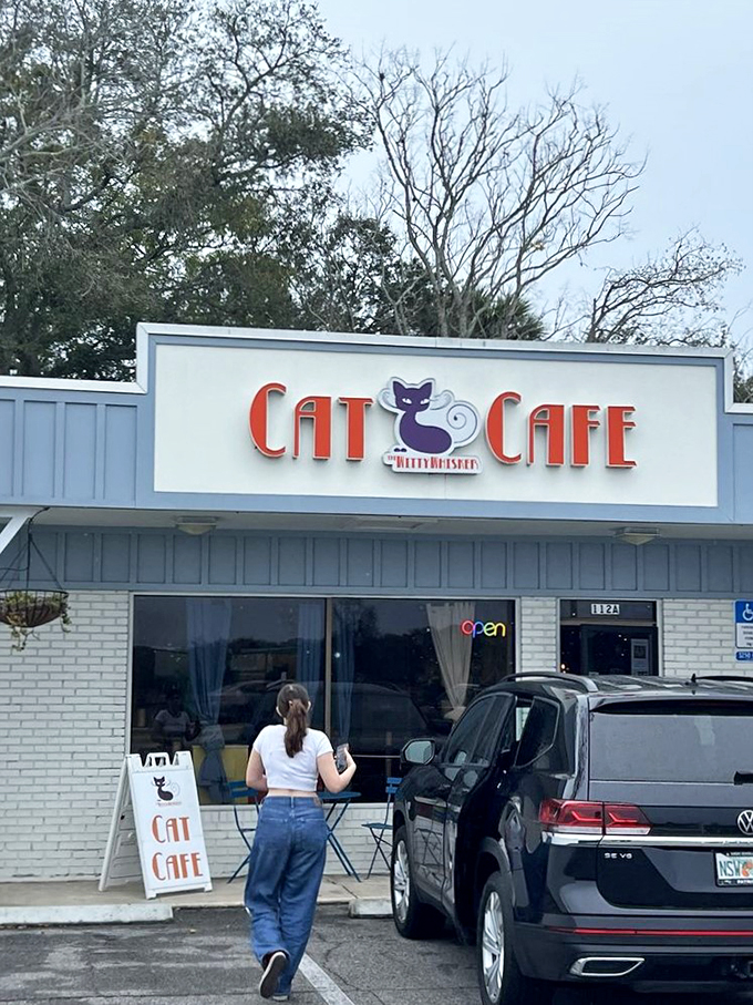 A cat's paradise in plain sight! The Witty Whisker Cat Cafe's charming exterior beckons coffee lovers and feline enthusiasts alike, promising a purr-fect blend of caffeine and cuddles.