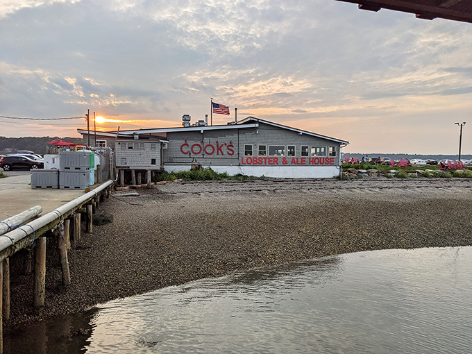 Sunset dreams and lobster schemes! Cook's Lobster & Ale House beckons with its cozy charm and promise of oceanic delights.