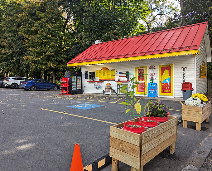 That cheerful red roof and yellow awning combo makes Hazel's look like happiness decided to open a restaurant, and honestly, that's pretty much what happened here.