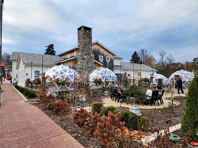 Step into your own private winter wonderland! These geodesic domes are like cozy snow globes, minus the fake snow and tiny plastic people.