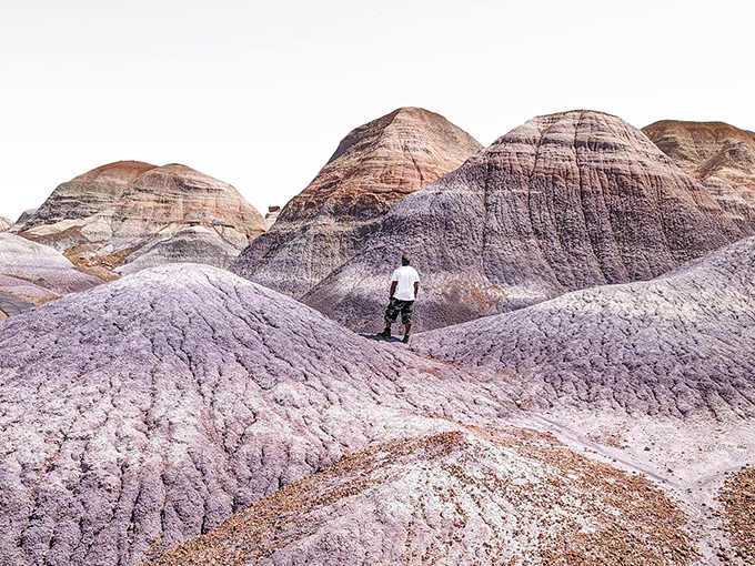 Nature's own abstract art gallery! These colorful badlands look like they were painted by a cosmic artist with a penchant for pastels.