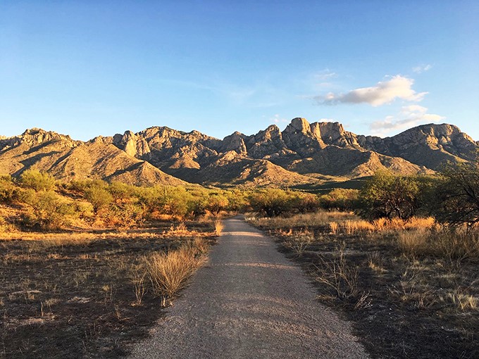Nature's red carpet rolls out before you, leading to a mountain extravaganza. It's like the Oscars, but the stars are made of rock!