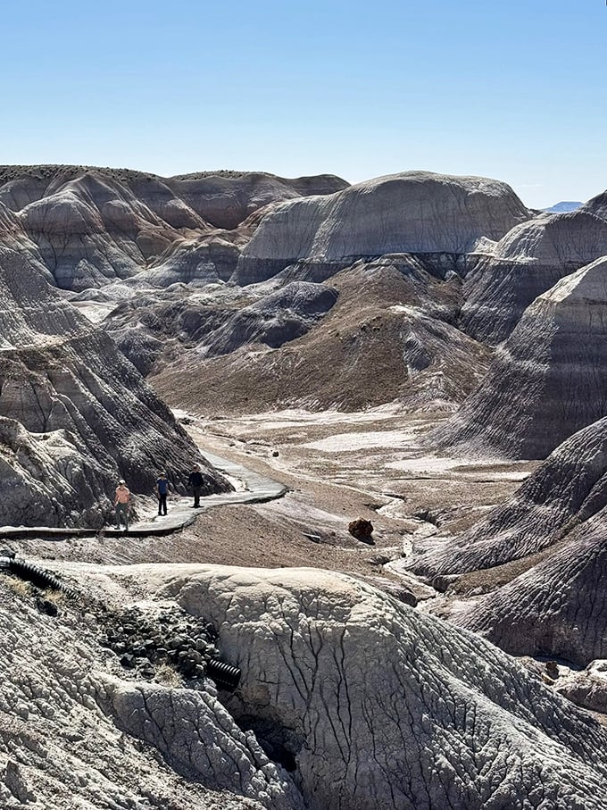 Otherworldly journey: Hikers traverse the alien landscape of Blue Mesa Trail, winding through layered badlands and eroded clay formations.