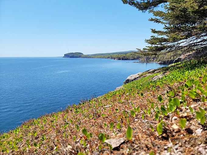 Rugged cliffs and azure waters create a view that's pure Minnesota magic.
